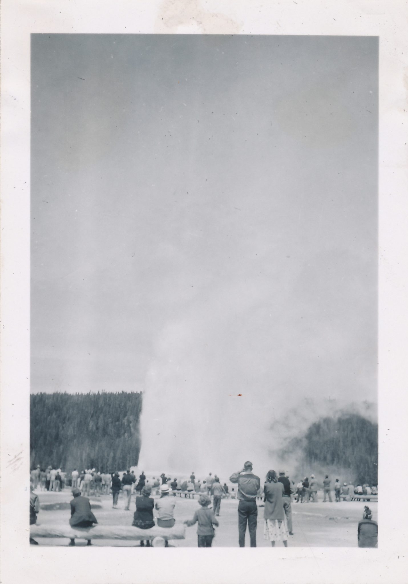 North American Conservation Model | Modern Conservationist